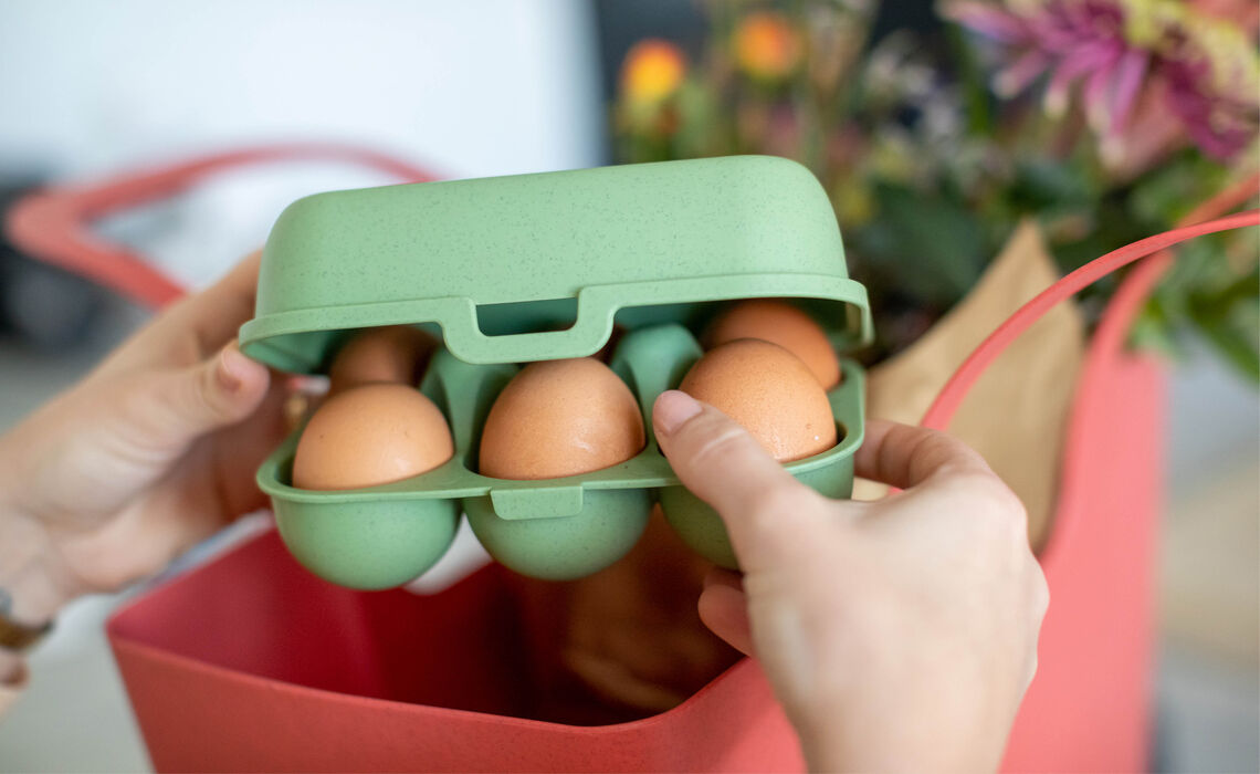 Eierdoos 6 stuks